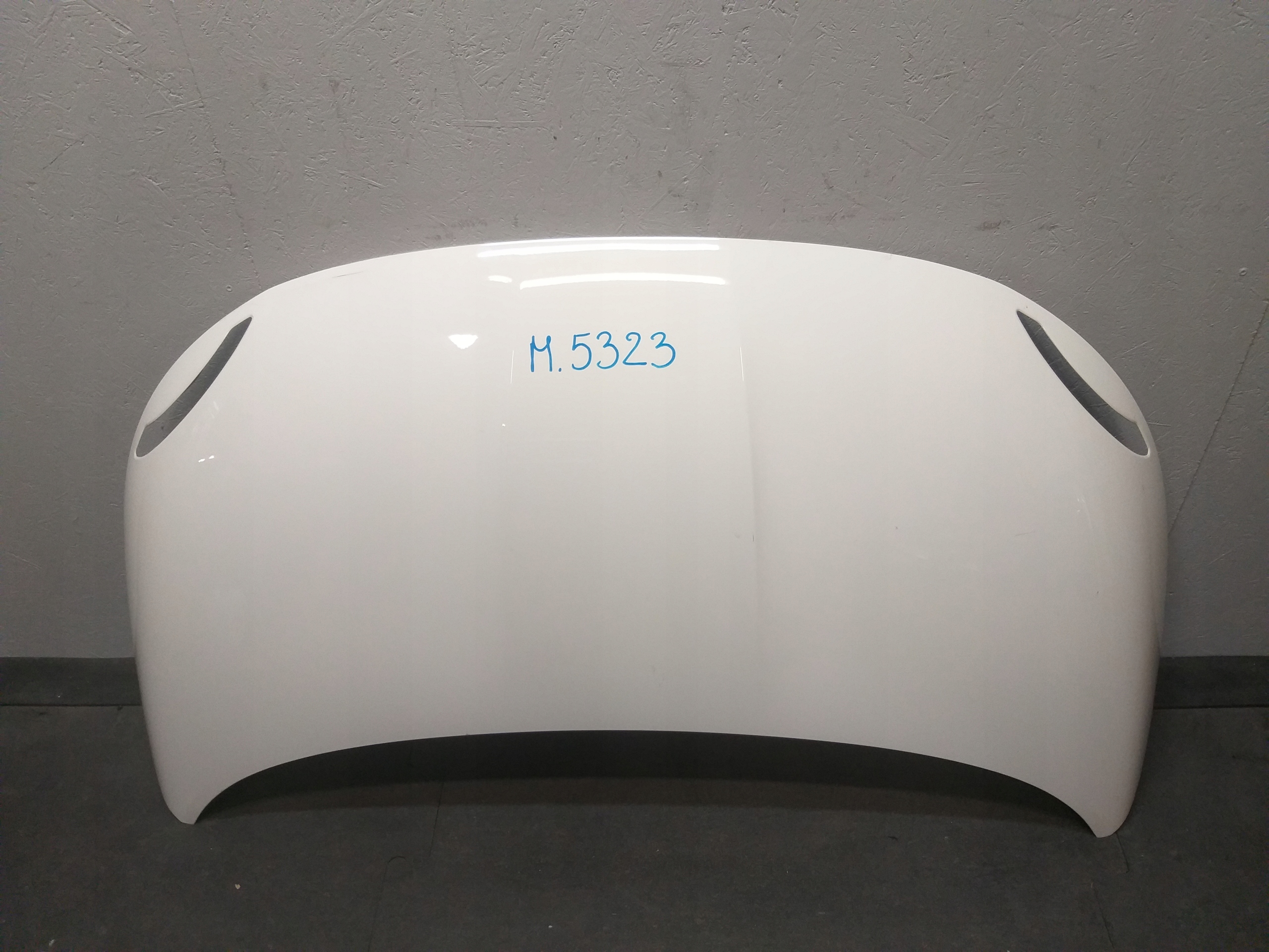 Motorhaube Fiat 500 ZAF 120 Bonnet Hood | eBay.de