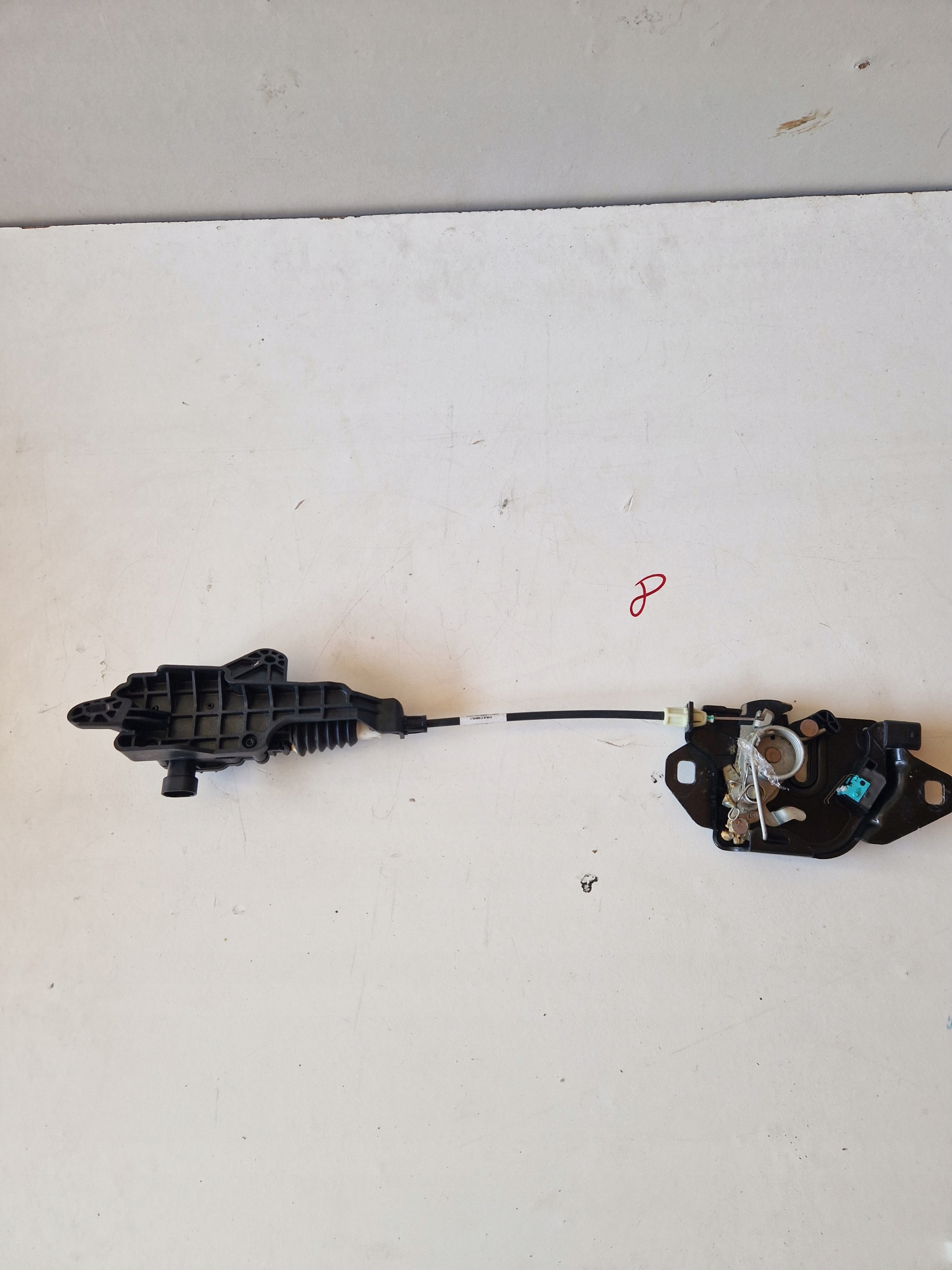 Motorhaube Tesla Model Y 005 Bonnet 150039700E Hood | eBay.de